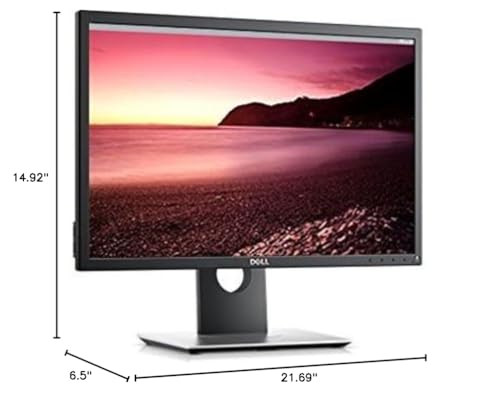 DELL P2217 22-inch PROFESSIONAL WIDE SCREEN 1680X1050 LED LCD DISPLAY MONITOR 0FDPN (Renewed)