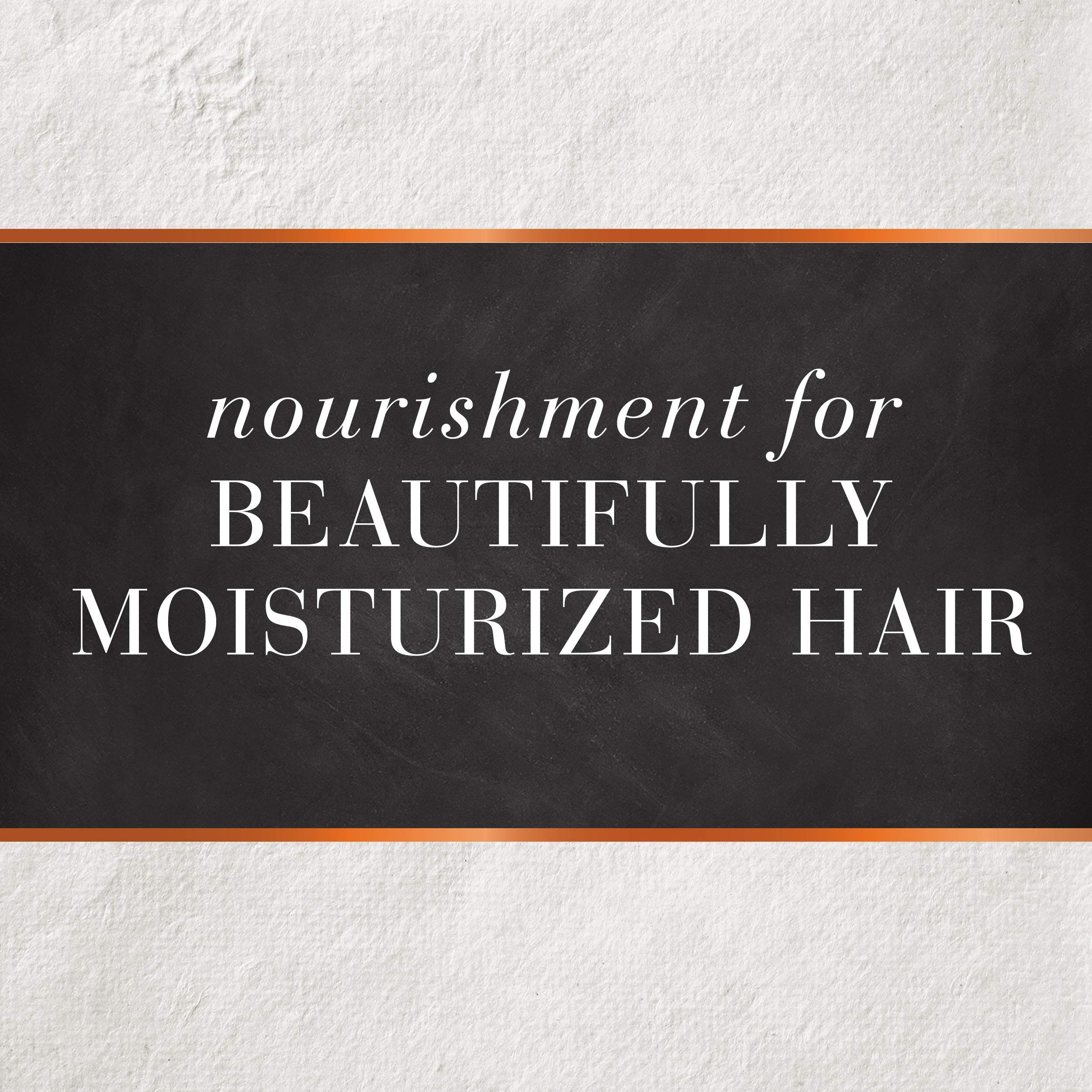 Hair Food Food Manuka Honey and Apricot Moisture Conditioner, 10.1 Ounce