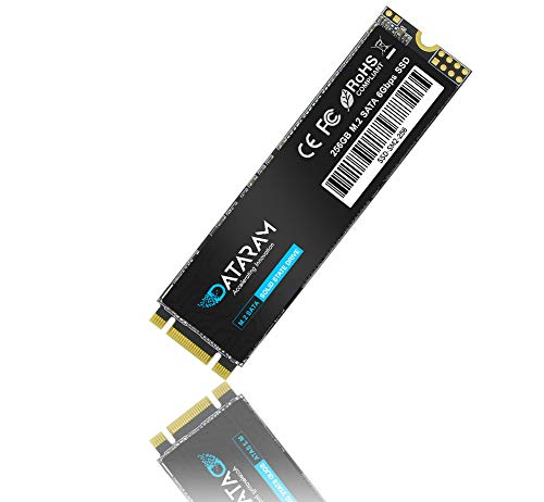 Dataram M.2 SSD 256GB, M.2-2280 Internal Hard Drive Sata Protocol, 550MB/S 6Gbps,High-Performance for Laptop PC, Desktop