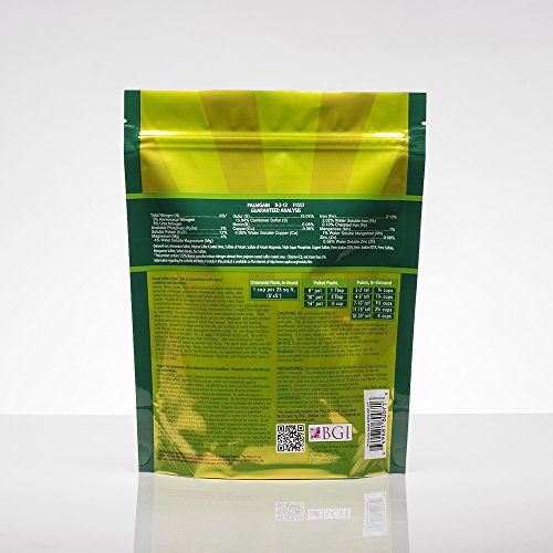 BGI Fertilizers Palmgain Bag, Palm Tree Fertilizer, Ferns, Cycads, Ixora, 2 lb