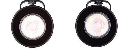 CANARM ICW622A02ORB10 LTD Polo 2 Light Ceiling/Wall, Oil Rubbed Bronze with Adjustable Heads