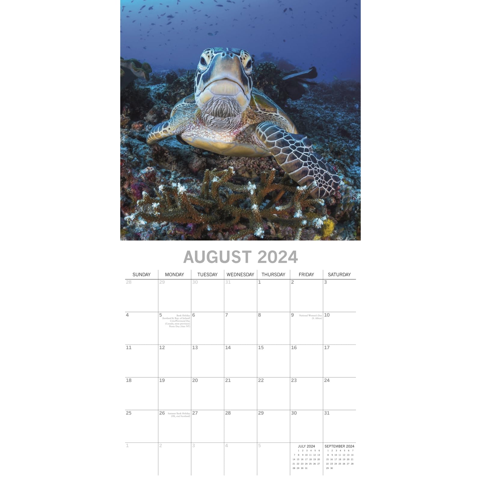 2024 Square Wall Calendar, Under the Sea, 16-Month Natural World Theme with 180 Reminder Stickers (12x12 In)