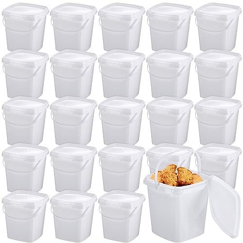 24 Pcs 67 Oz/ 2 Qt/ 2 L Square Deli Containers with Lids Ice Cream Bucket with Handle Airtight Plastic Ice Cream Tub Containers with Lids Reusable Pail for Food Drinks Storage Freezer Microwave