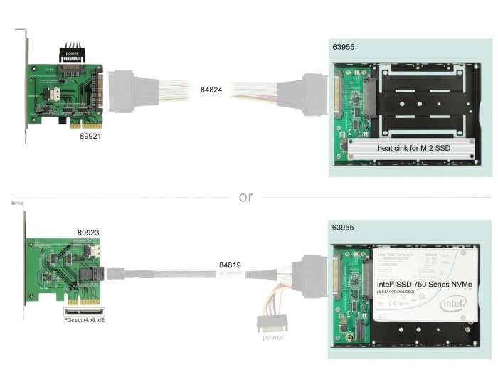 DeLOCK U.2 SFF-8639 to M.2 NVMe Key M/U.2 SFF-8639 Mounting Frame Converter with