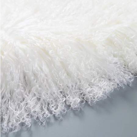 Genuine Tibetan Mongolian Sheepskin Area Rugs Long Wool Curly Fur Hide Pelt Mat Carpet Throw for Bedroom, Living Room,Home Décor 2'x3'