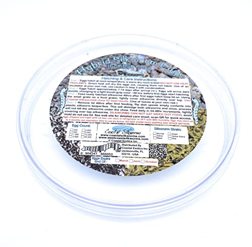 Coastal Silkworms 250 Count Black Tiger Silkworm Eggs Hatch at Room Temp (Pack of 1)