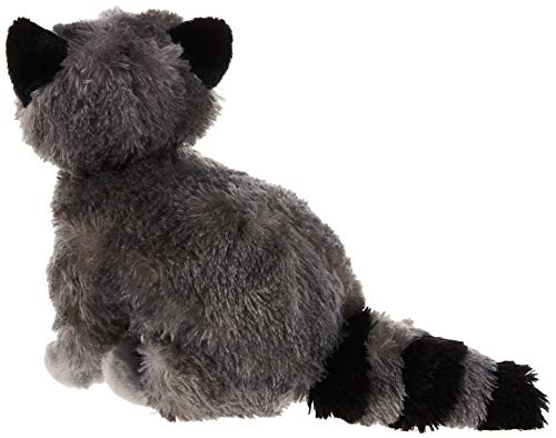 Aurora 12" Bandit