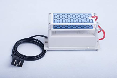 Ozone Generator air purifier 10000 mg/h Equal to 10g/h ozone plates ozone maker machine 110V