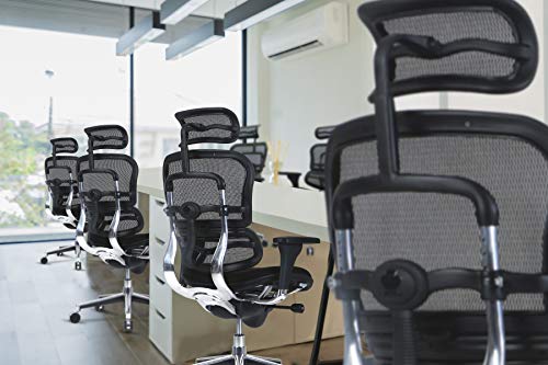 Eurotech Seating Ergohuman High Back Mesh Managers Chair, Black