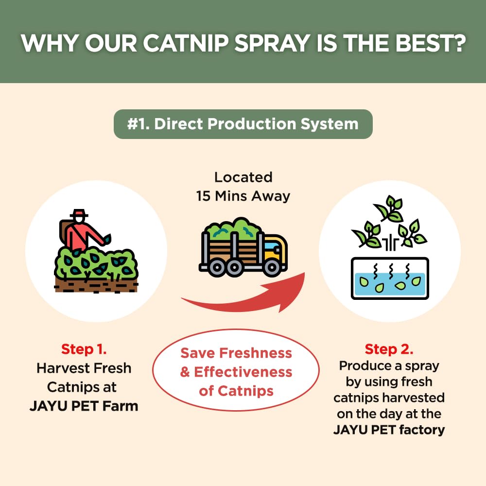 Active Catnip Spray - High Potency Transparent Liquid Spray made of Fresh Organic Catnip for Indoor Cats and Kittens, Relieves Stress, Calming, Revives Toys & Scratching Posts, Exercise (1fl oz)