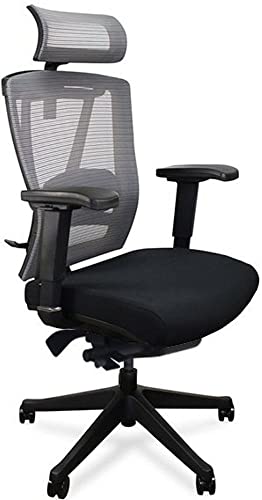 Autonomous ErgoChair - Premium Ergonomic Office Chair - All Black