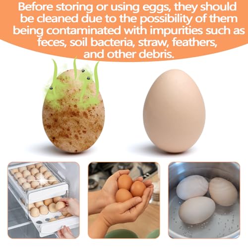 2PCS Silicone Egg Brush Cleaner, Multipurpose Vegetable and Fruit Scrubber Tool for Fresh Eggs, Egg Washer Cleaning Brush - Egg Cleaner for Fresh Eggs