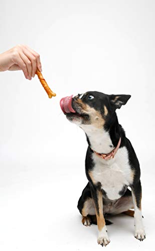 Hartz Oinkies Rawhide-Free Chicken-Wrapped Lasting Chew Bone Dog Treats, 12 Count, Highly Digestible, No Artificial Flavors or Colors