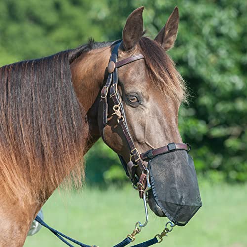 Cashel Quiet Ride Horse Fly Nose Net, Medium