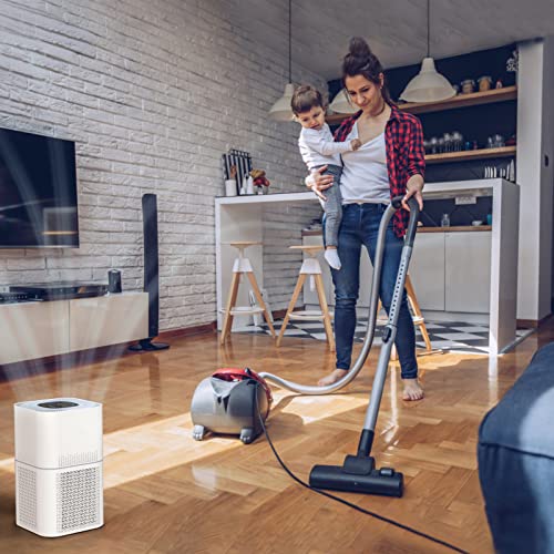 HEPA Air Purifiers for Home Large Room, CADR 300+m³/h 1290ft², H13 true HEPA filter remove 99.97% of dust, mold, allergies, odor, pets hair dander, smoke, pollen