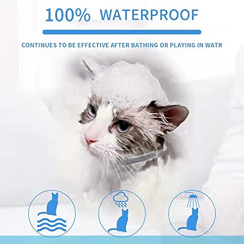 Advanllent Flea Collar for Cats, Flea and Tick Collars for Cats and Kittens, 8 Month Protection, Gray