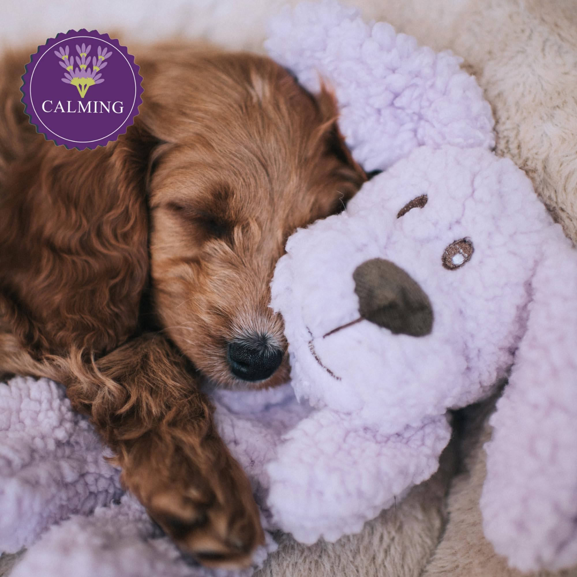 Aromadog Rosewood Calm Fleece Flattie Dog Toy, with Calming Lavender Blend Essential Oils
