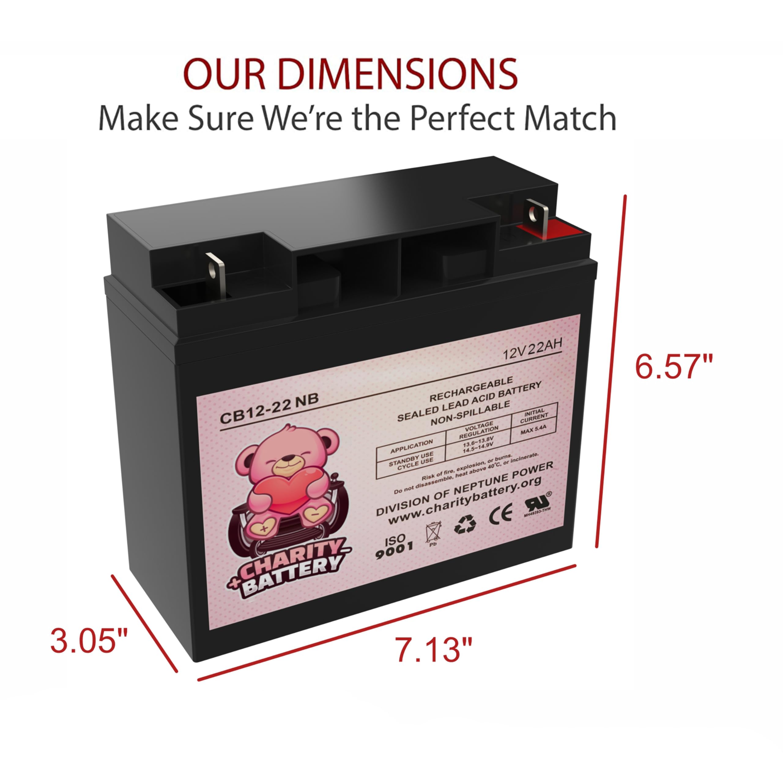 Charity Battery CB12-22 12V 22Ah Rechargeable SLA Battery Replacement for UB12180 FM12180 6fm18