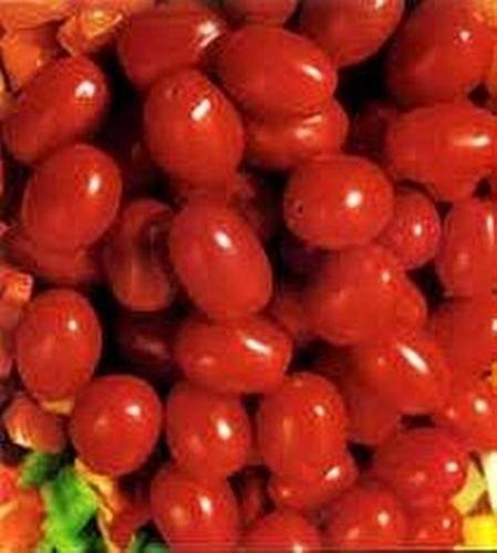 25 semi Semi Uva nera Pomodoro
