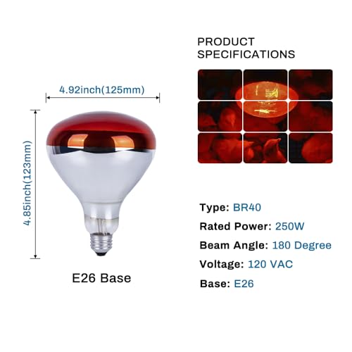 250 Watts Heat Lamp Bulbs, R40 Brooder Heat Lamp Bulbs for Chickens, Infrared Reflector Heat Bulbs for Brooder Heater, Incandescent Heating bulb for Pet, Light Therapy, Bathroom, Food (1 Pack)