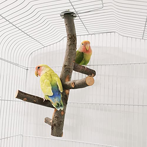 kathson Parrots Perch Natural Fruit Wood Stand Toy Branch Paw Grinding Standing Climbing Toy Cage Accessories for Small and Medium Birds,Parakeets,Lovebirds,African Grey,Cockatiels