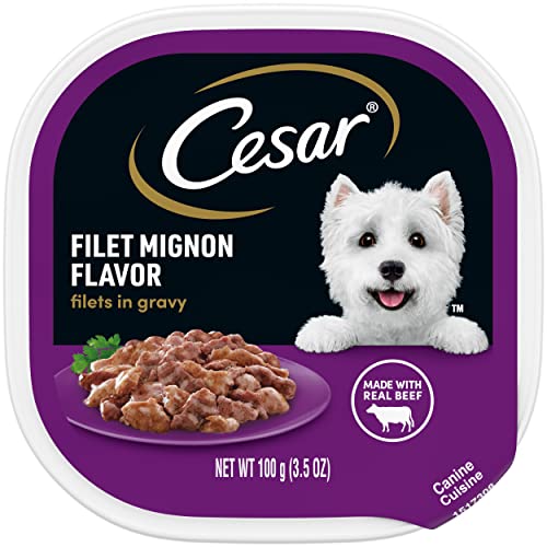 CESAR Adult Soft Wet Dog Food Filets in Gravy Filet Mignon Flavor, (24) 3.5 oz. Trays