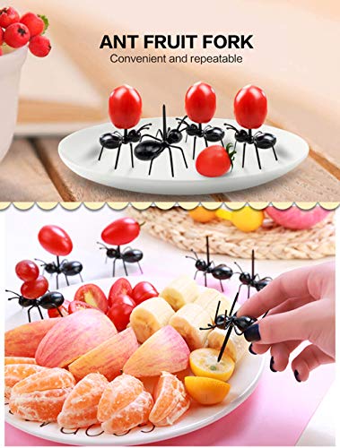 Ant Toothpicks Fruit Dessert Fork (24Pcs) β OOTSR Reusable Ant Food Pick Animal Appetizer Forks for Snack Cake Dessert with Storage Box for Kitchen Baby Shower Wedding Birthday Party