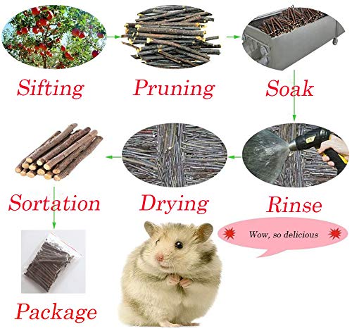 Z-TON Apple Sticks Pet Chew Toys for Chinchillas Guinea Pigs Rabbits Small Animals (100g)