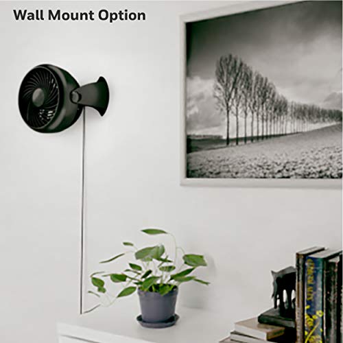 Honeywell HT-900 TurboForce Air Circulator Fan Black (Renewed)