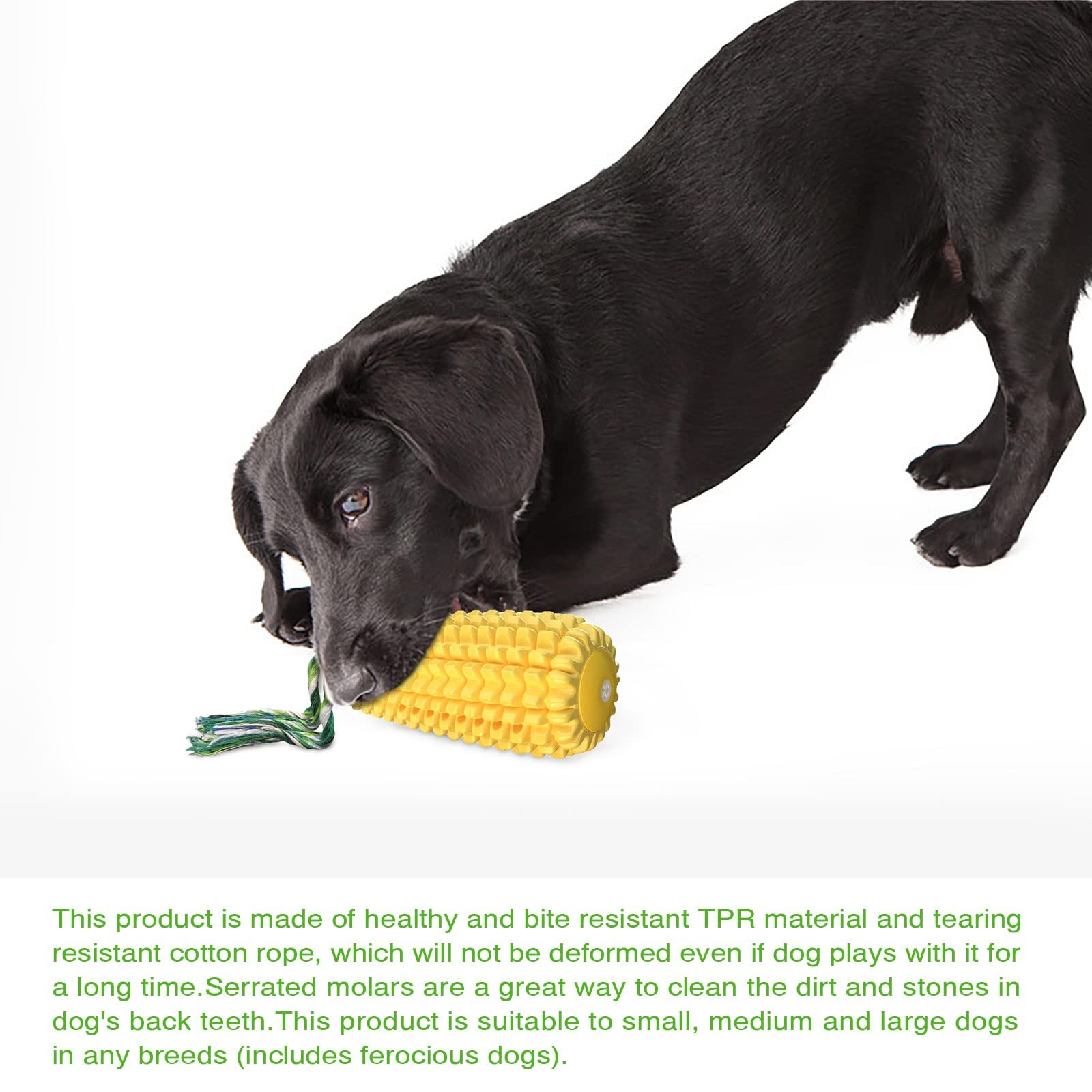 AGIEG Dog Toy Corn Yellow Puppy Squeaky Toys Pet Durable Chewing Toothbrush Cleaning Back Teeth, Add Toothpaste, Chew Toy for Mediun and Large Dogs,All Breed Size