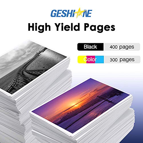 GESHINE 245 XL Ink Cartridge Replacement for Canon PG-245XL High Yield Used for MX492 TS3120 MG2522 MX490 MG2920 MG2922 MG2520 MG3020 TS302 Printer (2 Black)