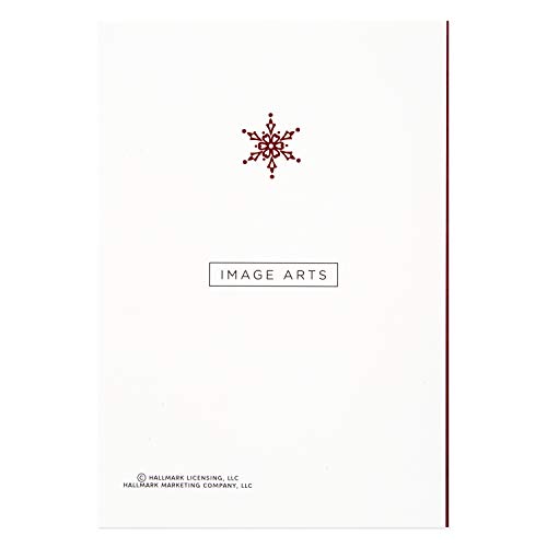Image Arts Christmas Boxed Cards Assortment, Elegant Lettering (4 Designs, 24 Cards with Envelopes)