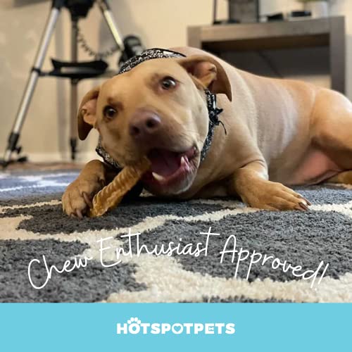 hotspot pets Premium Beef Trachea for Dogs 6" Strips Split - All Natural Grass-Fed Beef Dog Chews, Rich in Glucosamine Chondroitin for Joint Health, Single Ingredient No Rawhide Dog Treats