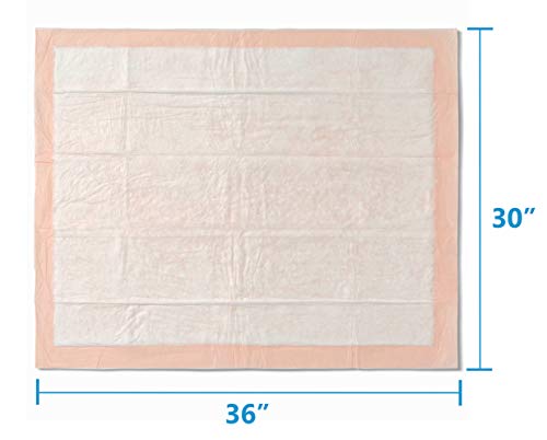 FitRight Heavy Absorbency Disposable Underpads, Super Absobent Polymer and Fluff Core, 30" x 36", Bag of 10, Great for Bed Pads, Furniture and Surface Protection