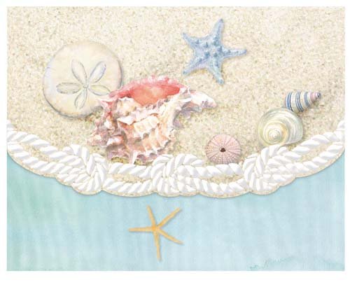 Carol Wilson Fine Arts Inc.- Sea Shells - Embossed & Die Cut Blank Note Cards in Portfolio Box - 10 Count - ncp2343