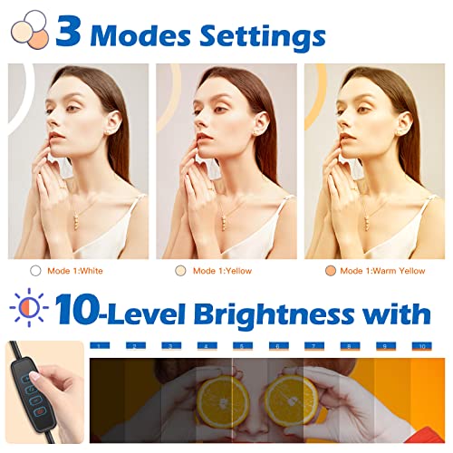 Aureday 12'' Selfie Ring Light with 62'' Tripod Stand and Phone Holder, LED Lighting with Phone Stand for Video Recording, Compatible with Cell Phones and Cameras
