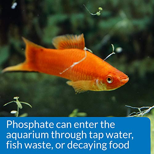 API Phosphate Test Kit For Freshwater And Saltwater