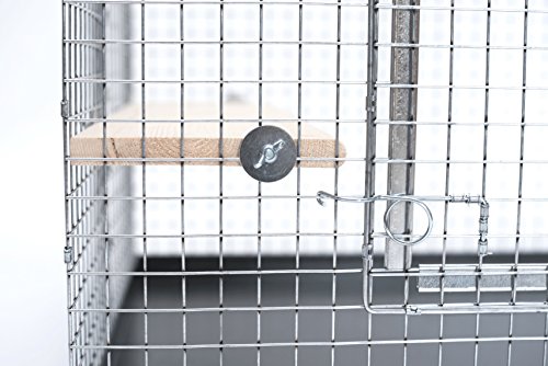 Chinchilla Mansion Chinchilla Cage, Handmade in USA, No Plastic, Built for Chinchillas by Chinchilla Owners, 48" Tall, 30" Wide, 24" Deep, Built to Last.