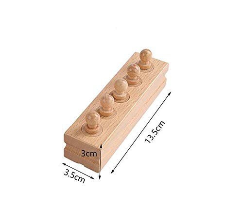 Adena Montessori Mini-Cylinder Block (Set of 4) Materials Sensorial Educational Tools Preschool Early Montessori Toys for Toddlers