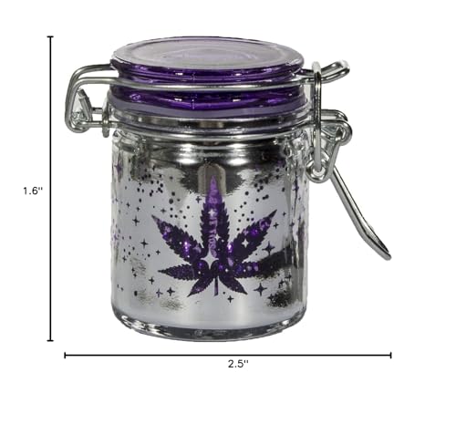 Airtight Glass Herb Stash Jar with Clamping Lid in Choice of Design (Metallic Silver/Purple, Small)