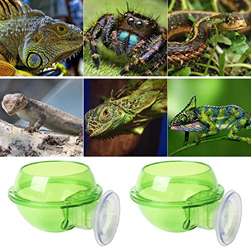 IAFVKAI Suction Cup Reptile Feeder 2PCS Reptile Food Water Feeding Bowl for Chameleon Tortoise Gecko Snakes Iguana Lizard