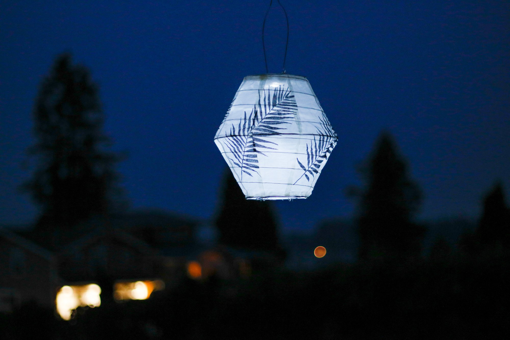 Allsop 31860 Soji Canvas Black Palm Solar Lantern