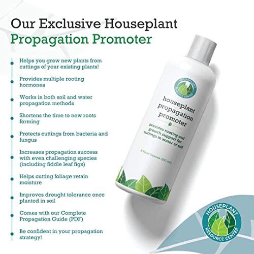 Houseplant Propagation Promoter & Rooting Hormone, Root Stimulator, Plant Starter Solution for Growing New Plants from Cuttings (Formulated for Fiddle Leaf Fig or Ficus Lyrata)