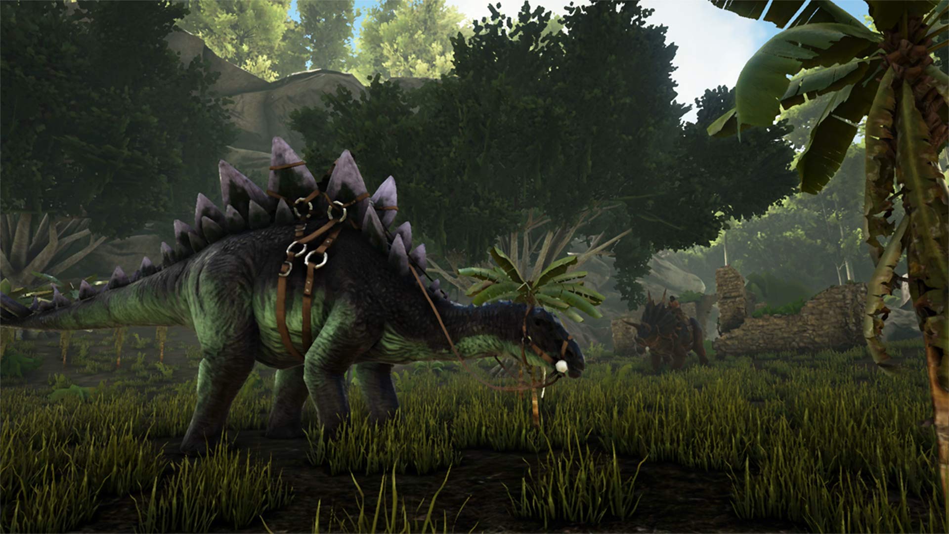 ARK: Survival Evolved (Nintendo Switch)