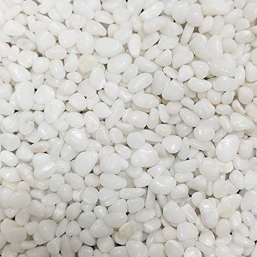 Tonmp 2 lb Natural Polished White Stones 3/8" Gravel Size Polished River Rock Pebbles for Succulents Cactus Bonsai. Decorative fillers. Aquariums and terrariums