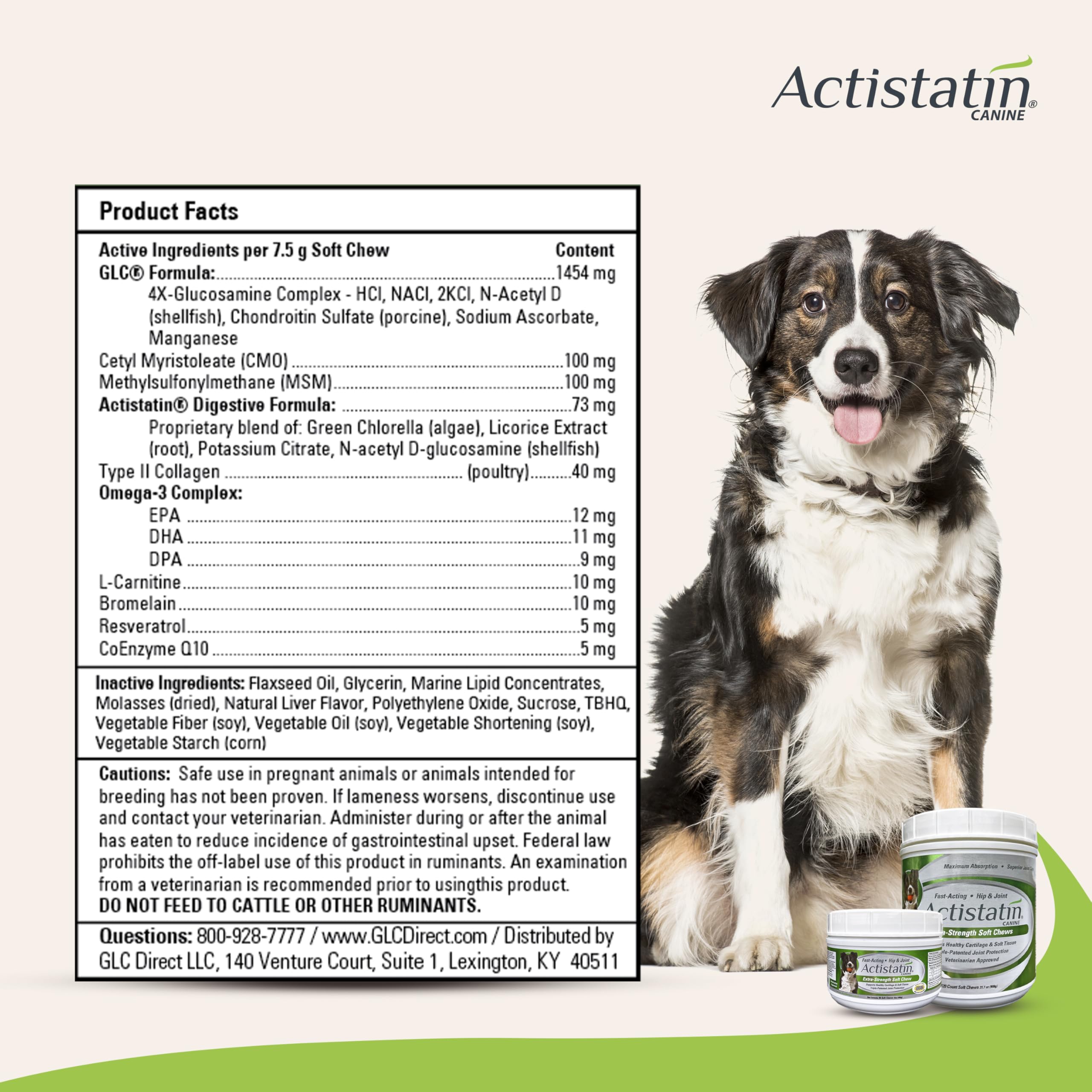 Actistatin Canine Large Dog Soft Chews, 120ct β Patented Extra-Strength Joint, Cartilage, Soft Tissue Supplement: Glucosamine, Chondroitin, Manganese, MSM, L-Carnitine β High Absorption, Fast Results
