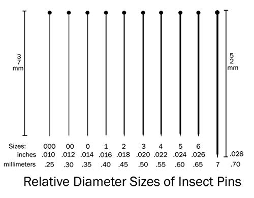 Premium Black Enameled Steel Insect Pins, Size 2, Pack of 100