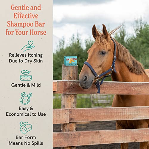 J·R·LIGGETT'S Horse Shampoo Bar Great for Sensitive Skin - Relieves Dry, Itchy Skin - Hypoallergenic and Biodegradable Formula – 100% Detergent-Free, 100% Ecologically Correct, Non-GMO, 3.5 oz.