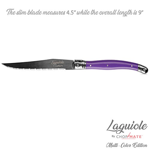 Chopmate - Laguiole Style - Stainless Steel Premium Steak Knife Set - Vibrant Multi Color Edition - 6 Piece Set + Bonus Wood Storage Display Block