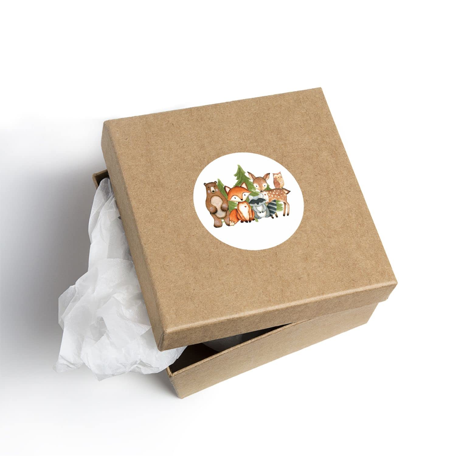 30 pcs Woodland Girl Raccoon Birthday Baby Stickers Envelope Seals Labels Round Tags, Stamps Sticker for Gift Cards, Envelopes, Boxes for Holiday, Birthday, Christmas